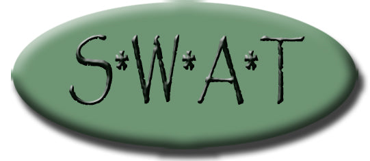 SWAT Bug Repellent | Shop Jillian's Drawers